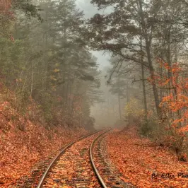 Tennessee Fall Train Rides | Autumn Trips from Chattanooga & Delano