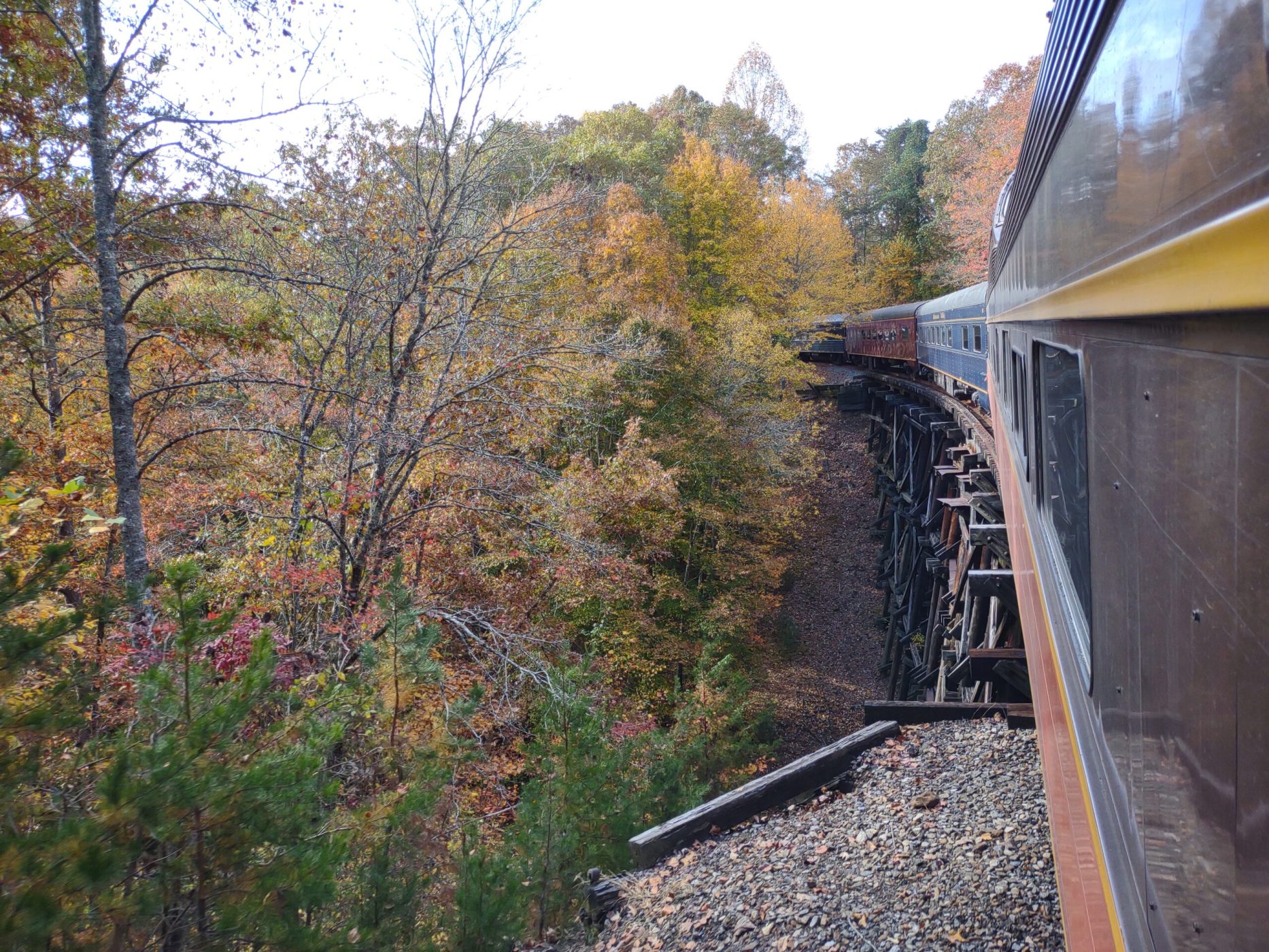 Journey Through Autumn: Your Guide to Fall Foliage Train Tours