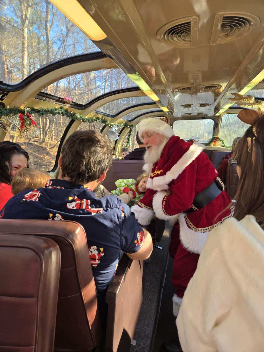 Delano Train Rides – Scenic Hiwassee Loop & Copperhill Trips