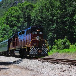 Tennessee Fall Train Rides | Autumn Trips from Chattanooga & Delano