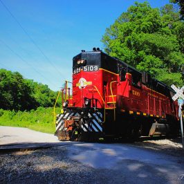 Tennessee Fall Train Rides | Autumn Trips from Chattanooga & Delano