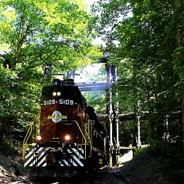 Tennessee Fall Train Rides | Autumn Trips from Chattanooga & Delano