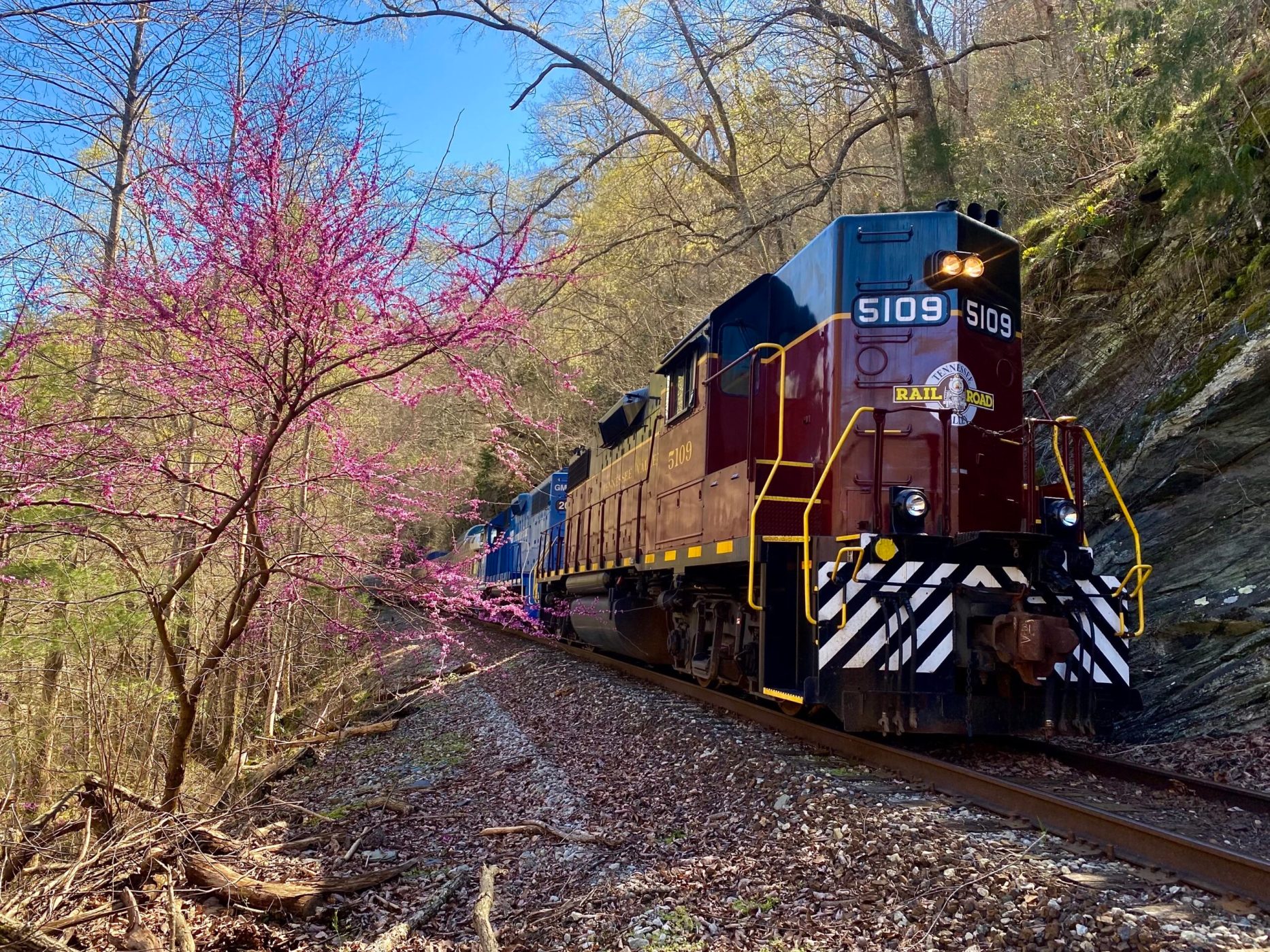 Hiwassee Loop & Copperhill Special: Scenic TN Train Rides