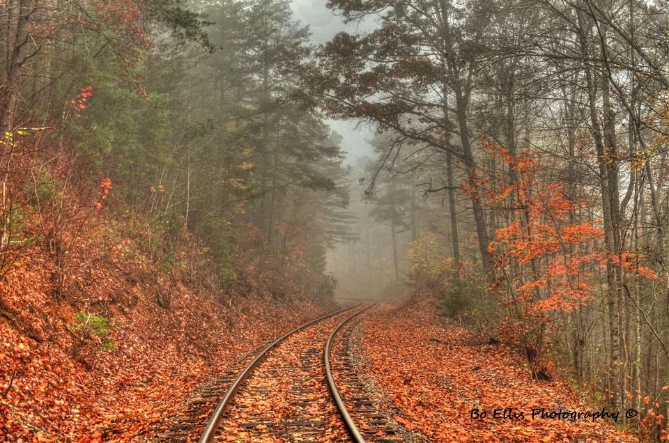 Hiwassee River Rail Adventure: Scenic Journey at TV Railroad