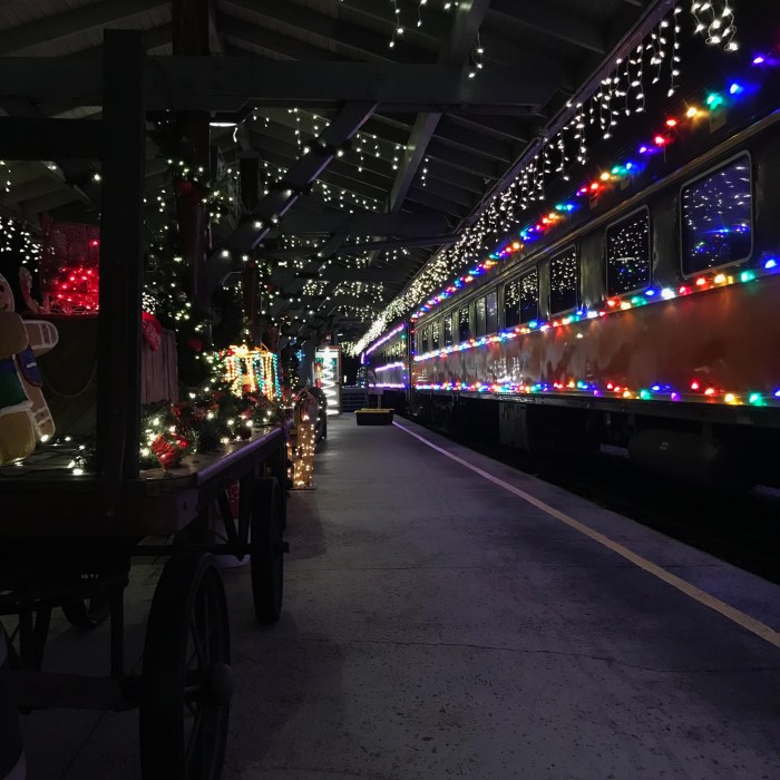 Nightcap with St. Nick: Festive Train Rides in Chattanooga!