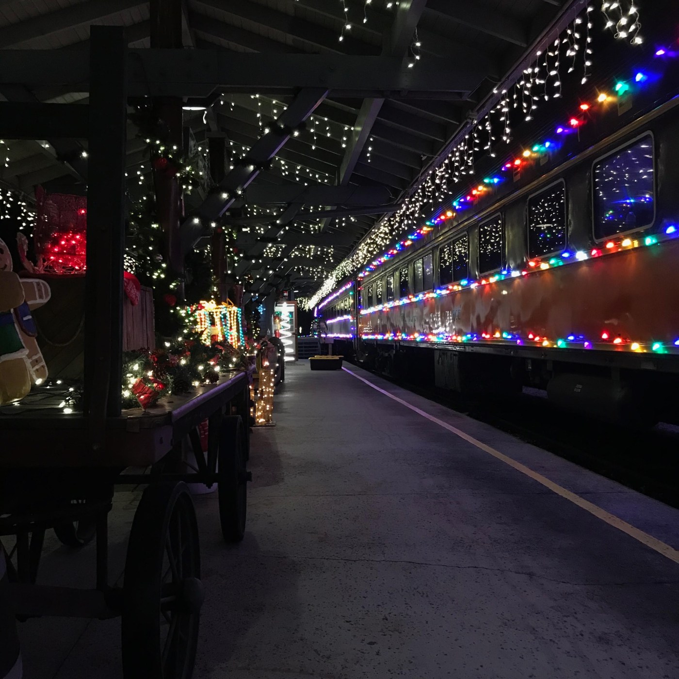 Nightcap with St. Nick: Festive Train Rides in Chattanooga!