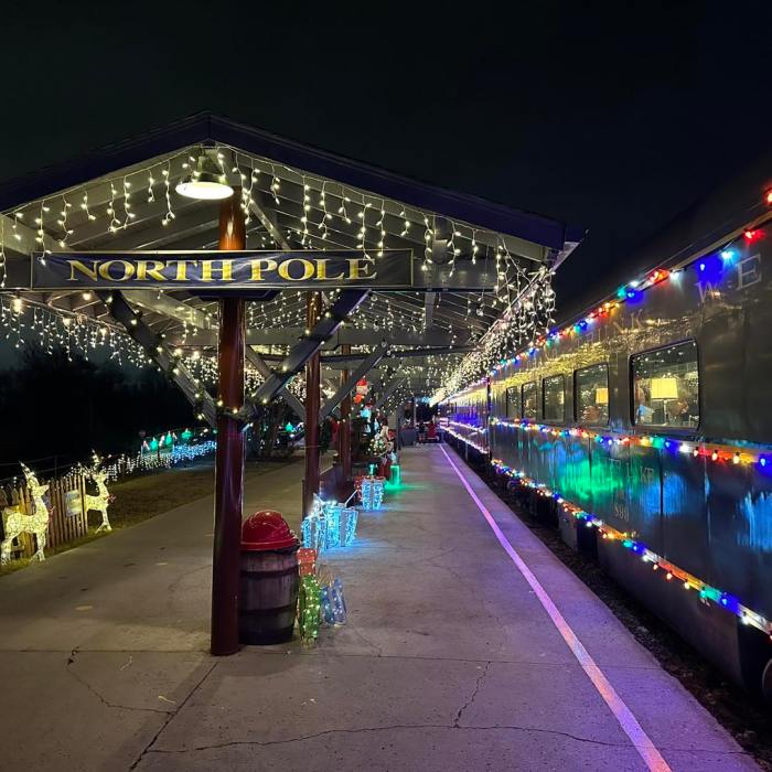 Experience Chattanooga's Best Train Rides This Season!