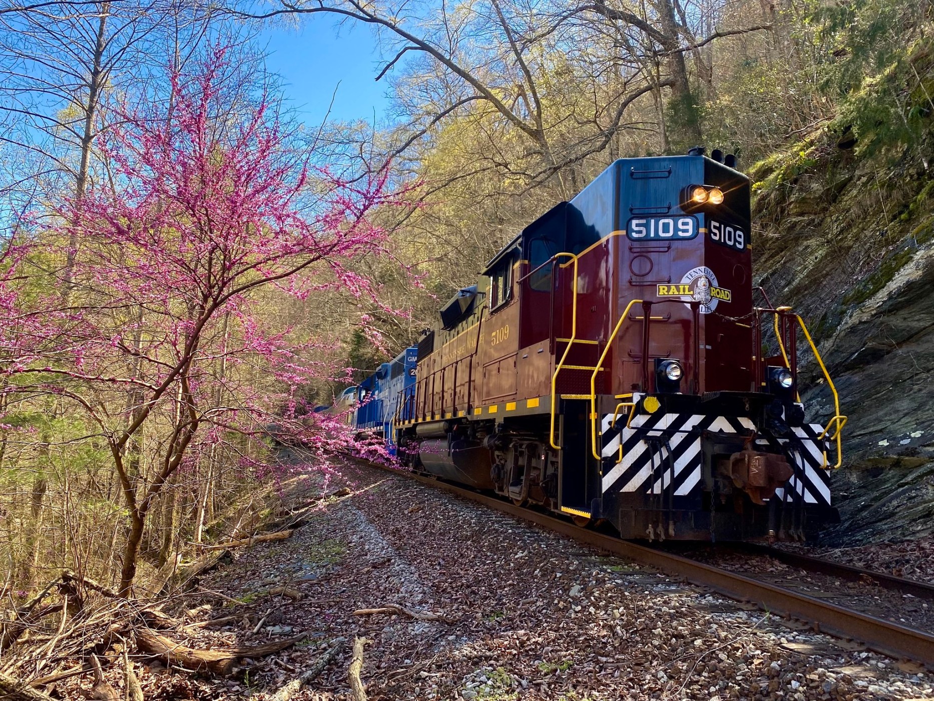Explore the Hiwassee River Scenic Railroad Rides!