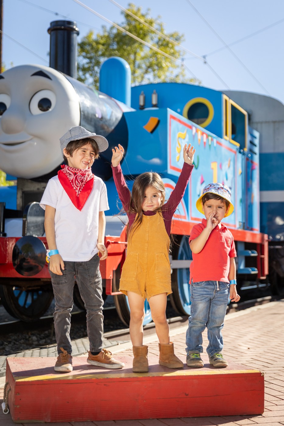 Kids Train Rides at TVRM: Fun Family Rail Adventures